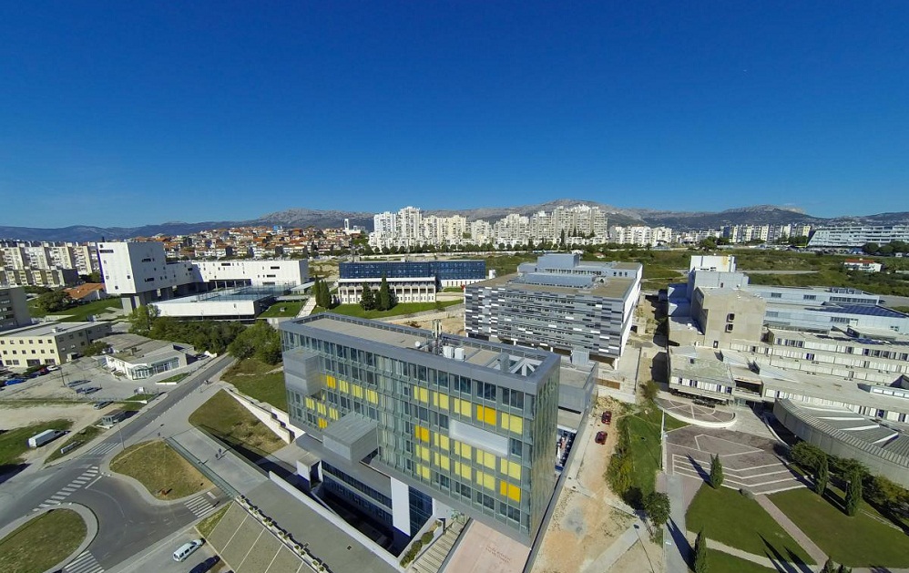 article | University department of professional studies | University of ...