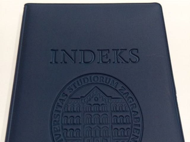 article | University department of professional studies | University of ...